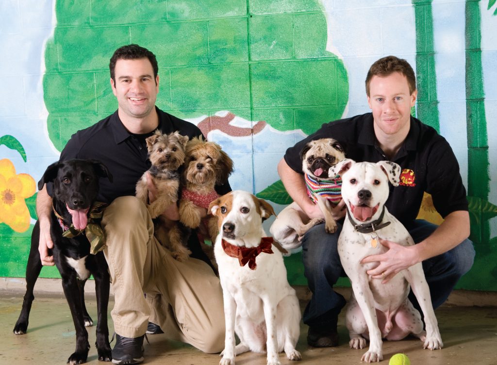 Everything You Need to Know About The Dog Stop® Franchise