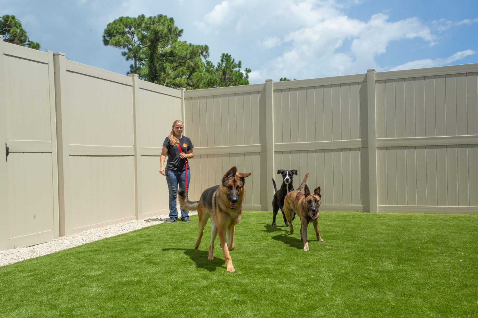 The Dog Stop® Plans Continued National Expansion - The Dog Stop®