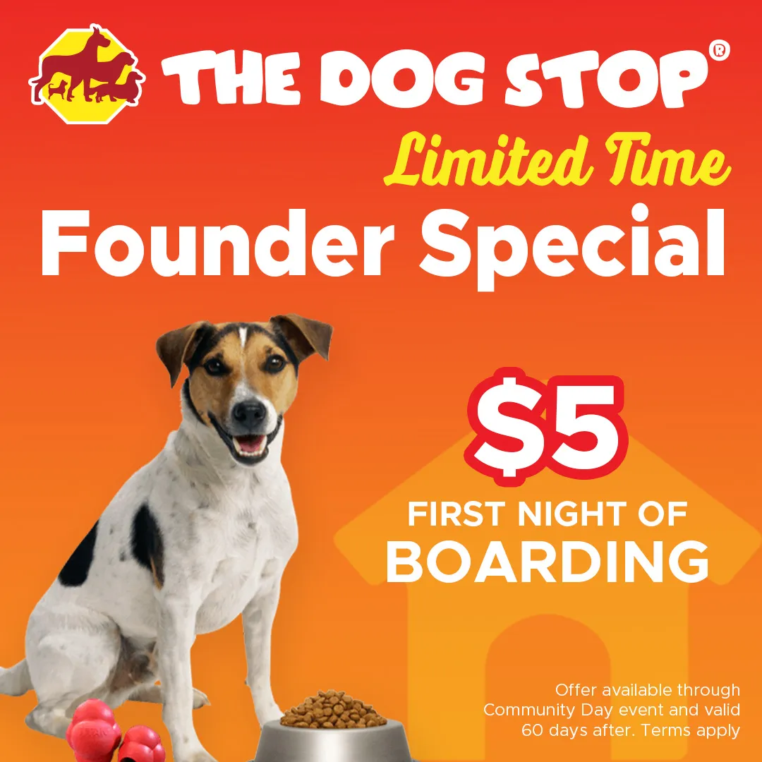 The Dog Stop® Lake Charles | Dog Boarding, Daycare, Dog Grooming